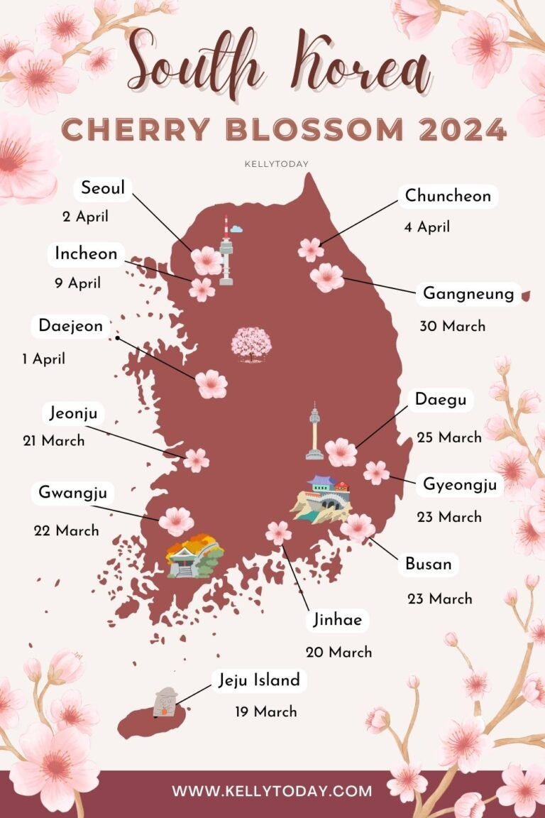Spring in South Korea 2026: Where to See the Cherry Blossoms in Korea ...