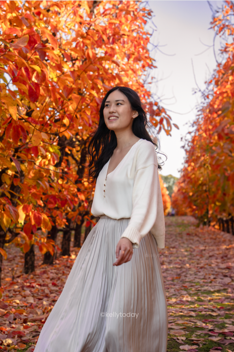 Ultimate Guide to Yates Springtime Tulip Festival in Perth - Kelly Today