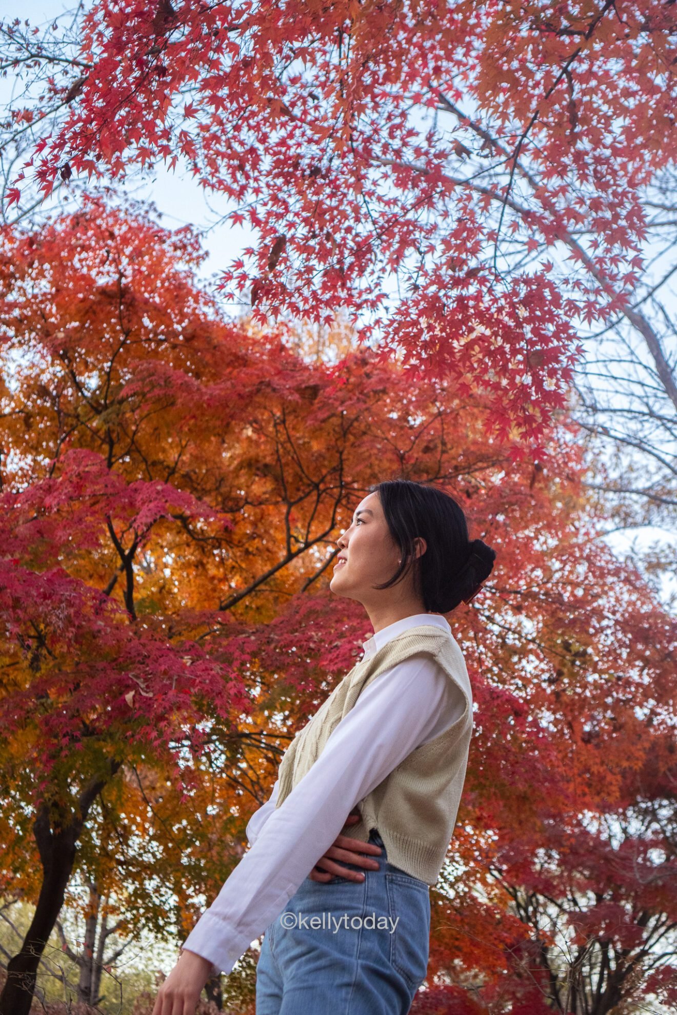 20 Best Fall Foliage Spots for Autumn in South Korea - Kelly Today