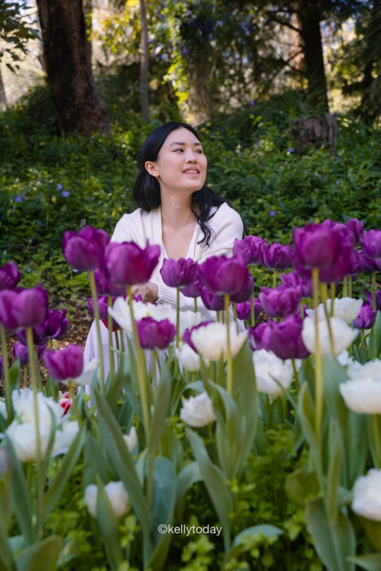 Ultimate Guide to Yates Springtime Tulip Festival in Perth - Kelly Today