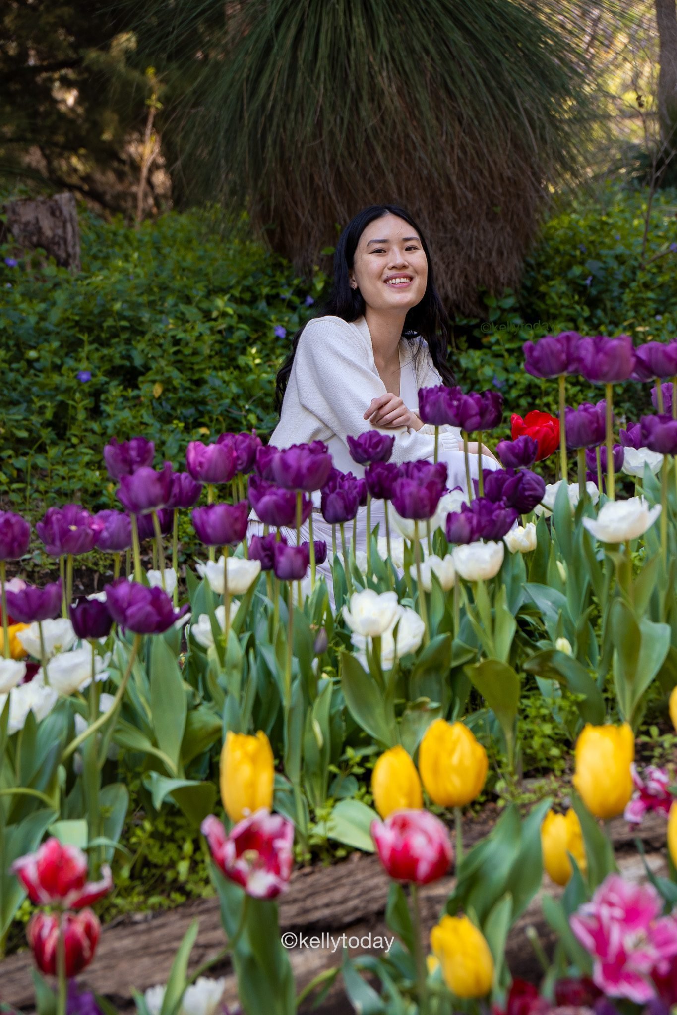 Ultimate Guide to Yates Springtime Tulip Festival in Perth - Kelly Today