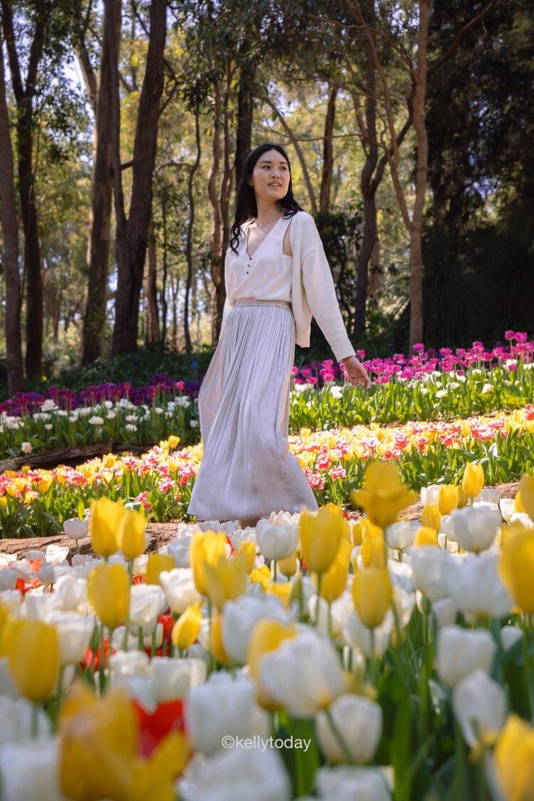 Ultimate Guide to Yates Springtime Tulip Festival in Perth - Kelly Today
