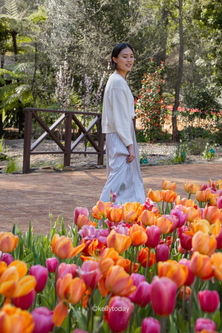 Ultimate Guide to Yates Springtime Tulip Festival in Perth - Kelly Today