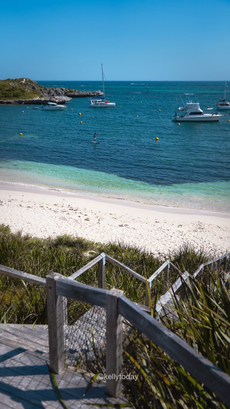 Ultimate Guide For Best Things To Do on Rottnest Island - Kelly Today