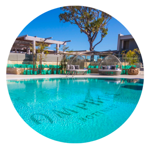 Ultimate Guide For Best Things To Do on Rottnest Island - Kelly Today