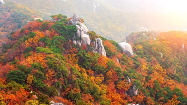 20 Best Fall Foliage Spots for Autumn in South Korea - Kelly Today