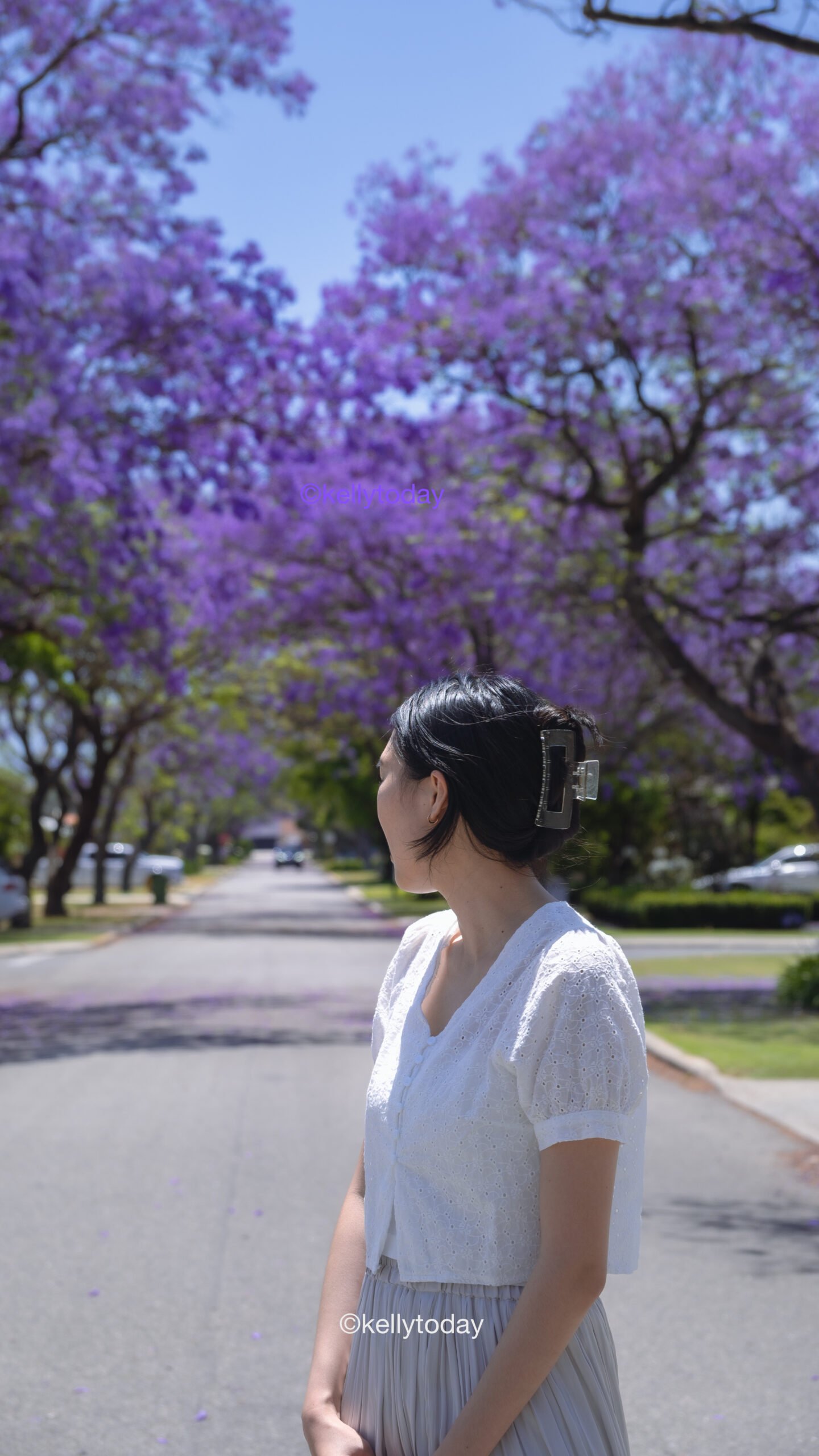 10 Best Places to See Jacaranda in Perth That Are Worth Your Time (2026 ...